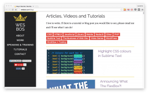 28 Things to Put on Your Web Developer Portfolio (Plus Real-Life Examples!)