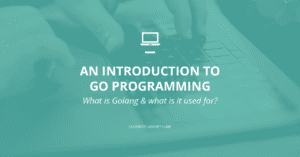 What Is Go/Golang? [Beginner's Guide]