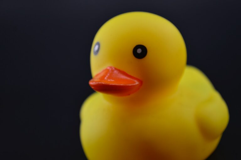 What Is Rubber Duck Debugging?